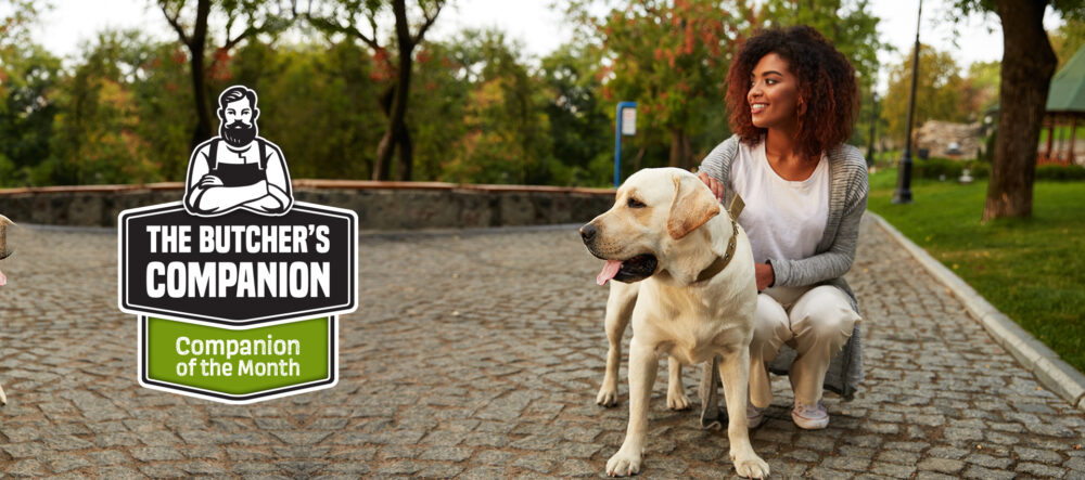 Companion of the Month - The Butchers Companion