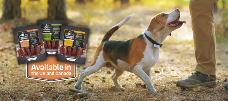 Pork Dog Treats | Dog Training Treats - The Butchers Companion