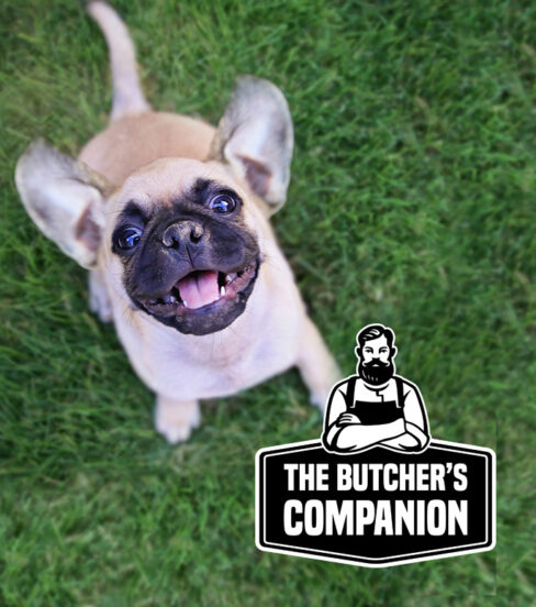 Premium Dog Treats | Meat Treats for Dogs - The Butchers Companion